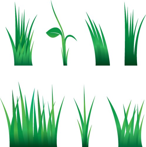 Grass composition for landscape design Royalty Free Vector