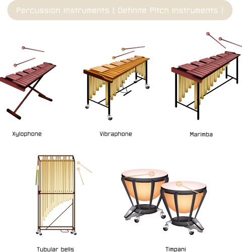 Set of indefinite pitch instruments Royalty Free Vector