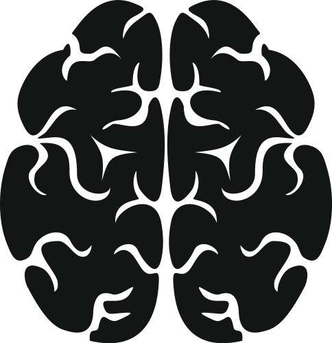 Brain Drawing Front View Brain Front View Vector Images (over 360)