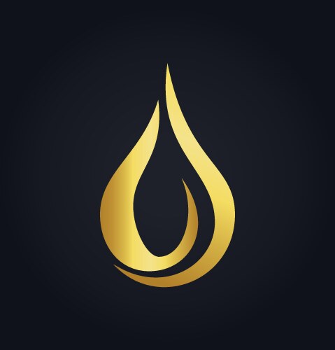 Black and gold fire logo template Royalty Free Vector Image