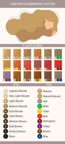 Numbering Vector Images (over 860,000)