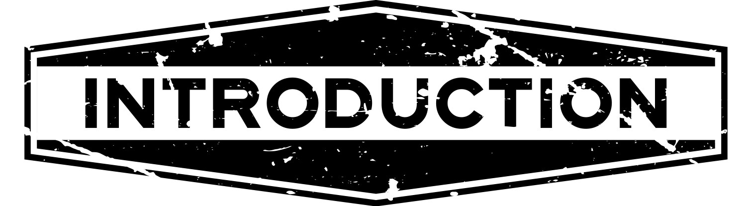 Envelope and letter sign with word introduction Vector Image