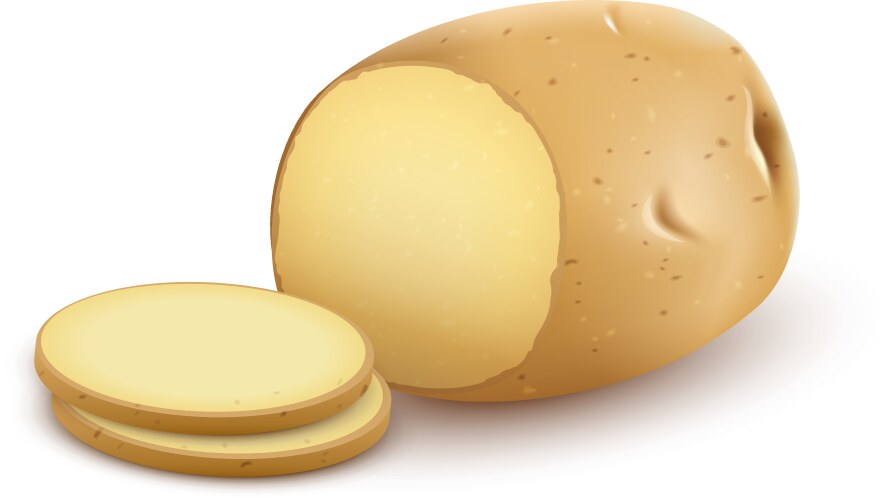 Potatoes Royalty Free Vector Image - VectorStock