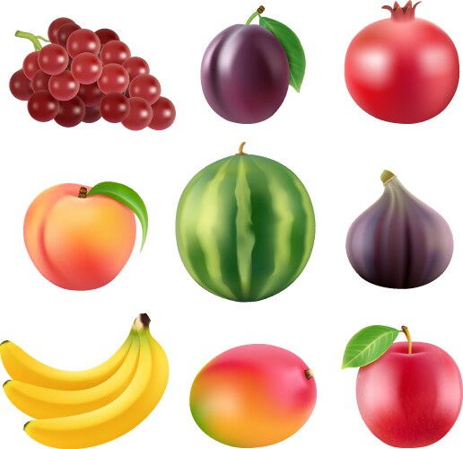 Cherry realistic fruit icons Royalty Free Vector Image