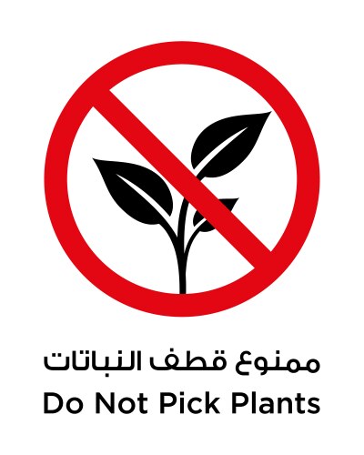 Do not Pick Flowers Vector Images (37)