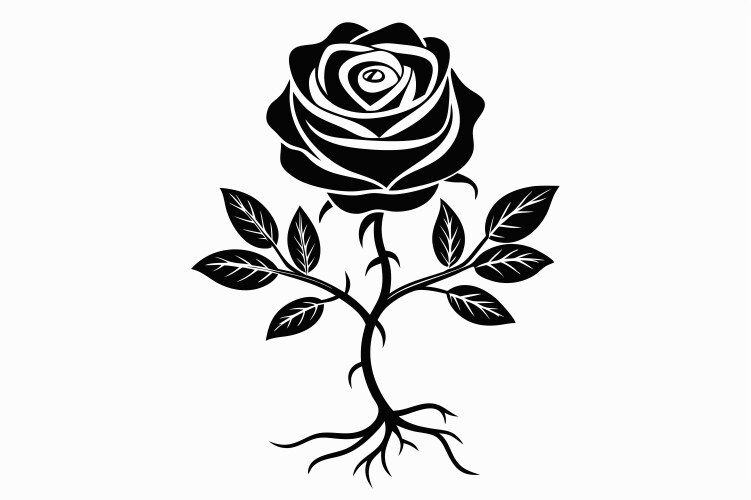 Rose flower root silhouette o Royalty Free Vector Image