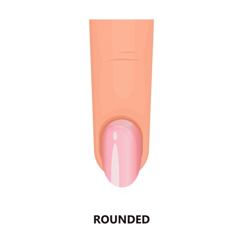 Shape nail iconcartoon icon Royalty Free Vector Image