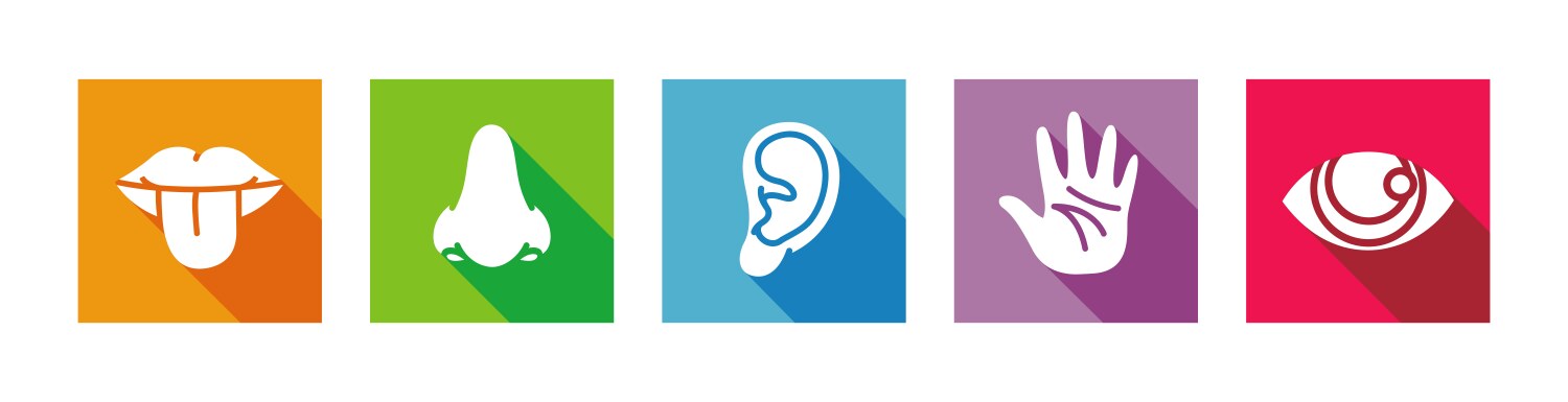 5 Senses Vector Images (over 800)