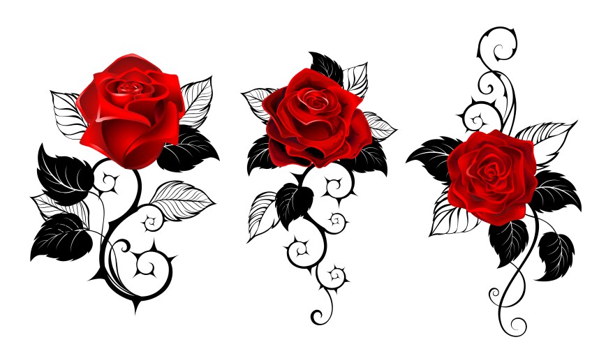 Infinity symbol with red roses Royalty Free Vector Image