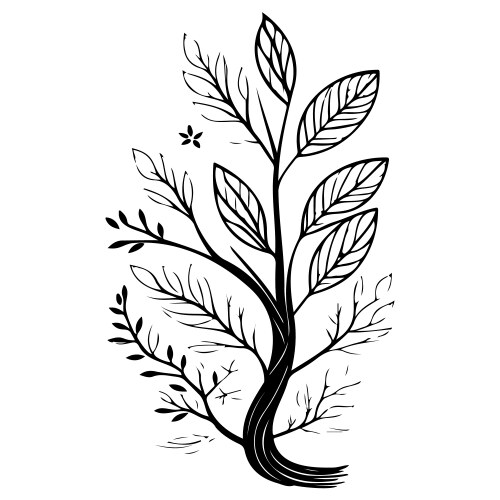 Tree half spring autumn floral sketch draw Vector Image