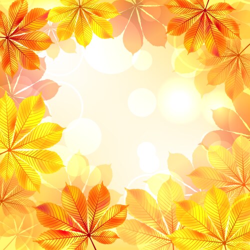 Set of colorful autumn leaves white background Vector Image