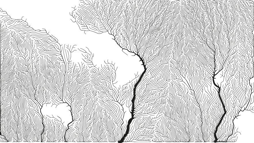 Growth pattern generative branching structure Vector Image