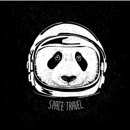 Space Panda Vector Images (over 760)
