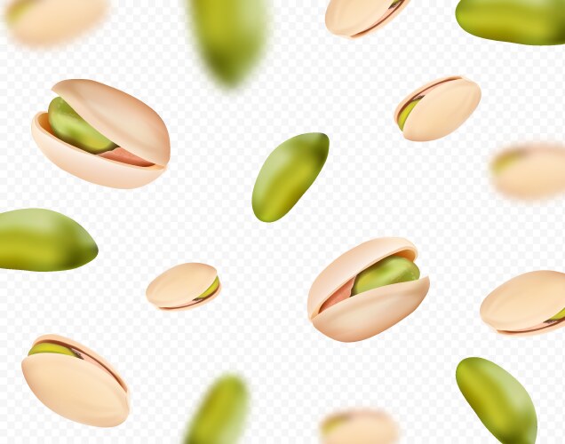 Realistic falling ripe pistachios isolated Vector Image