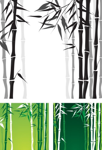 Bamboo Vector Images (over 49,000)