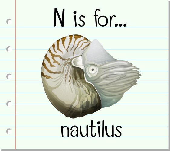 Flashcard letter n is for nurse Royalty Free Vector Image