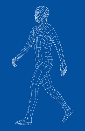 Wireframe walking man Royalty Free Vector Image