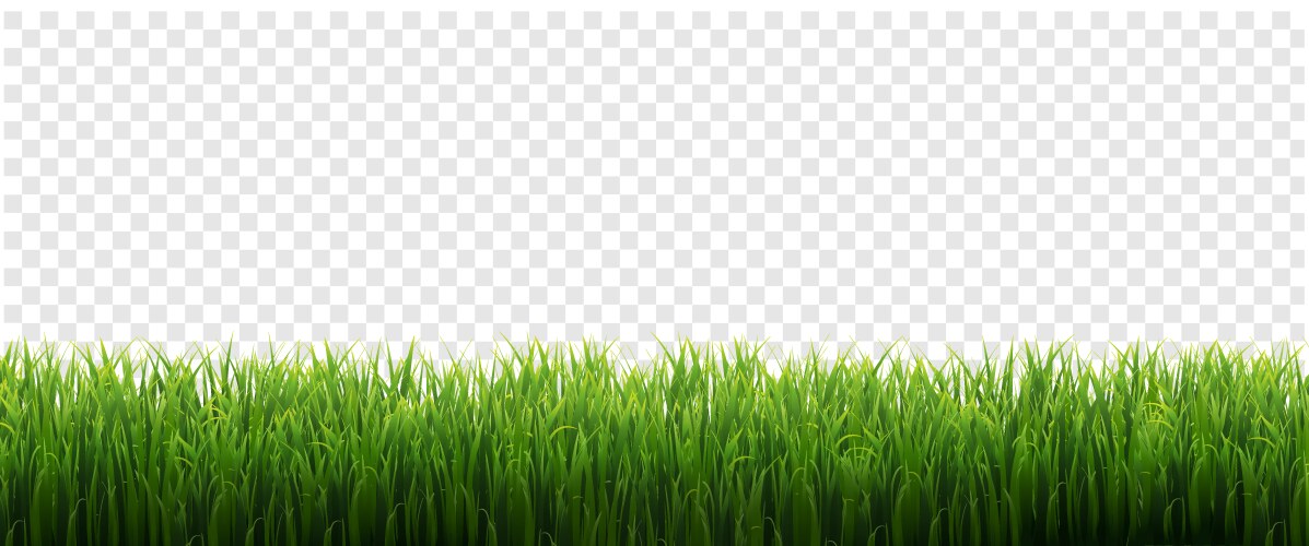 Long Grass Vector Images (over 5,100)