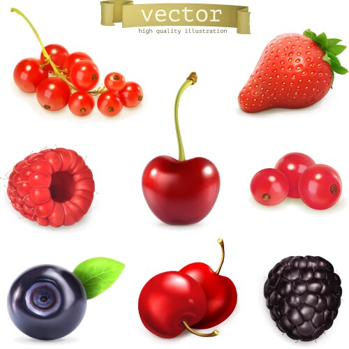 Set of berries Royalty Free Vector Image - VectorStock