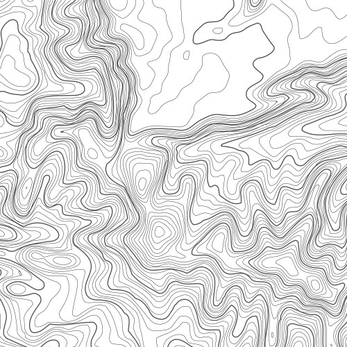 Topographic map geographical location lines Vector Image