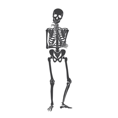Scary Skeleton Vector Images (over 53,000)