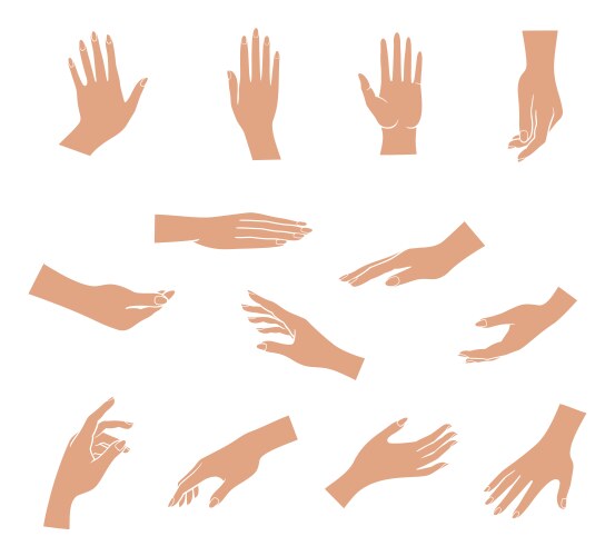 Hands Vector Images (over 3.9 million)