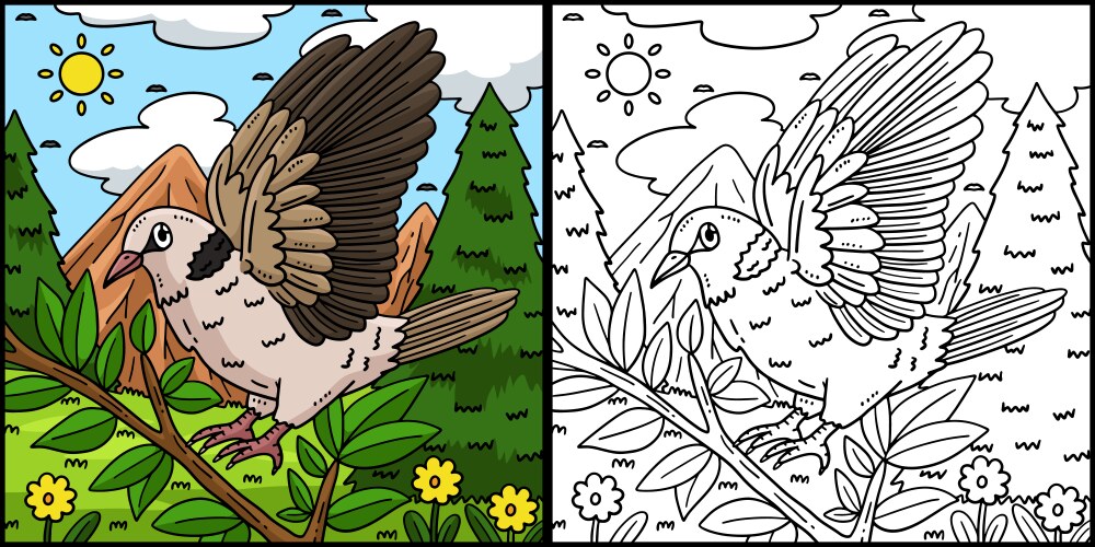 Birds Coloring Page Vector Images (over 10,000)