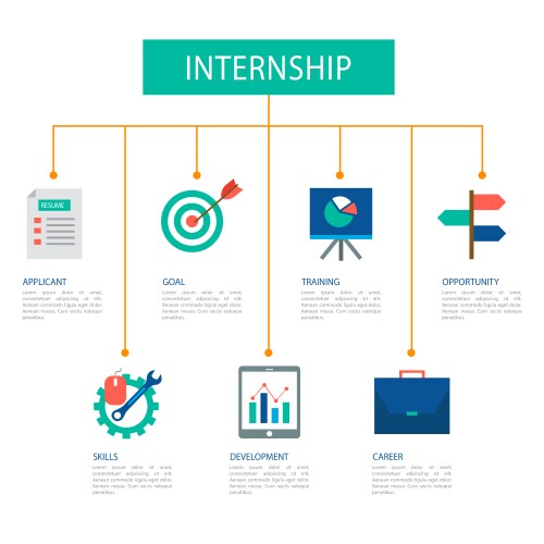 Internship training infographic Royalty Free Vector Image