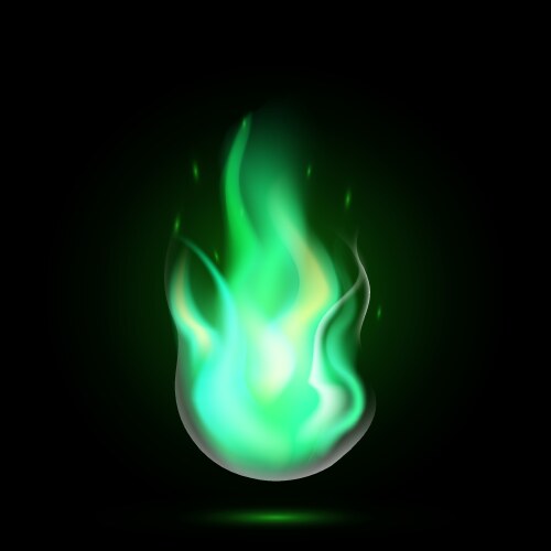 Green magic fire flame bonfire Royalty Free Vector Image