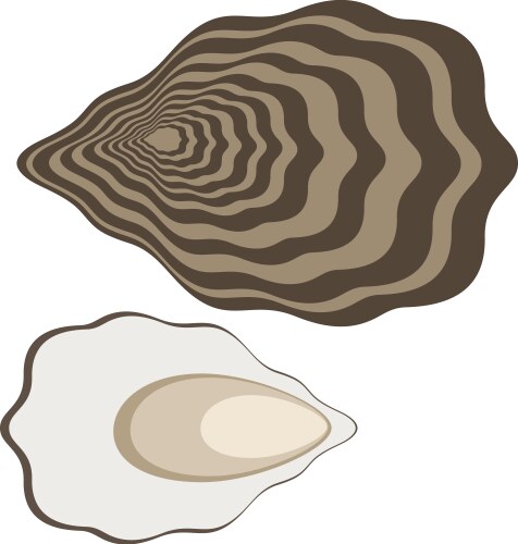 2028 seafood oyster Royalty Free Vector Image - VectorStock