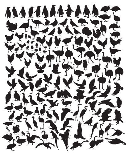 Birds Vector Images (over 550,000)