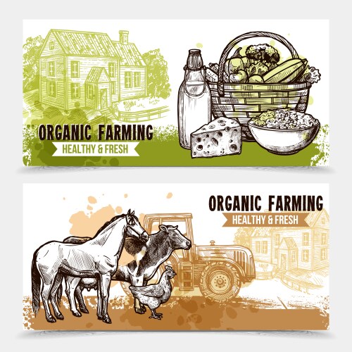 Farm banner set Royalty Free Vector Image - VectorStock