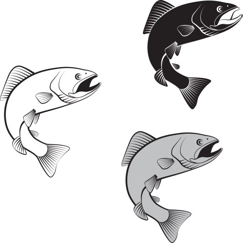 Trout Vector Images (over 13,000)