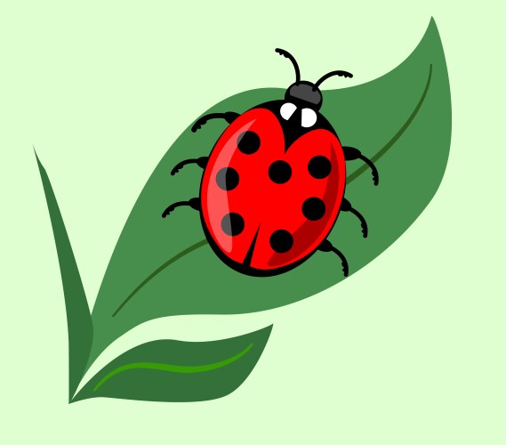 Cute ladybug cartoon isolated on white background Vector Image