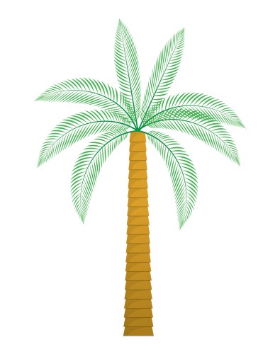 Brochure flyers template with palm tree Royalty Free Vector