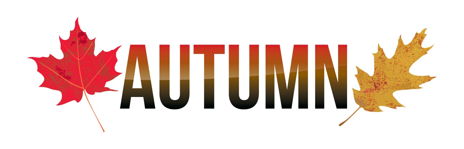 Table tennis concept word art Royalty Free Vector Image