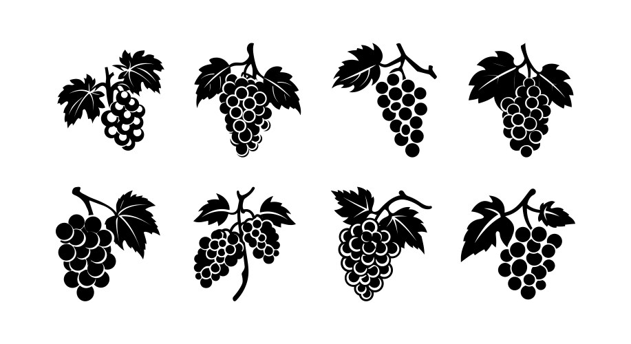 Grapes Vineyard Vector Images (over 22,000)