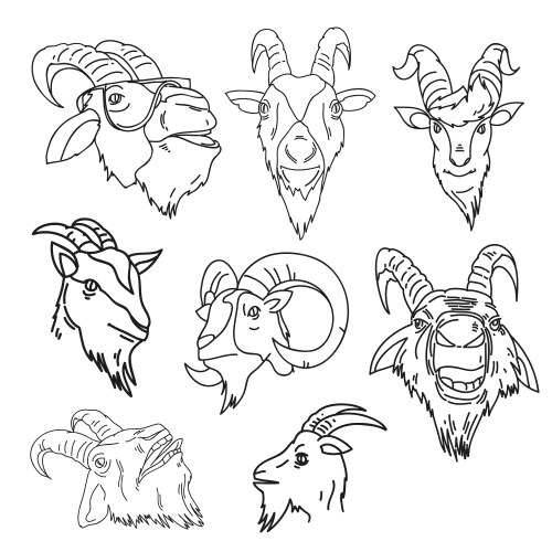 Goat head abstract isolated Royalty Free Vector Image
