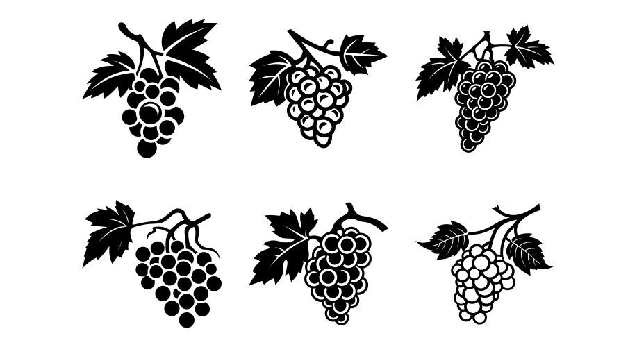 Grapes clipart Vector Images & Graphics for Commercial Use | VectorStock