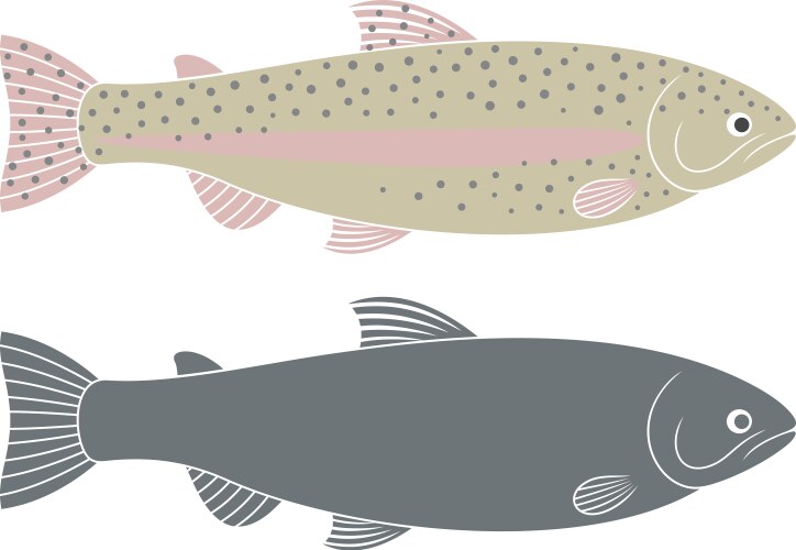 Trout Vector Images (over 12,000)