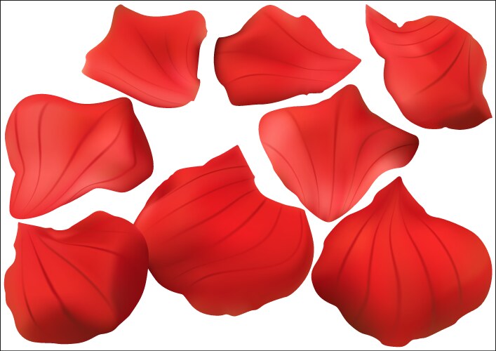 Petal Vector Images (over 340,000)