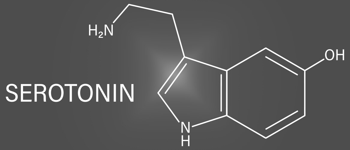 Serotonin molecule skeletal formula Royalty Free Vector