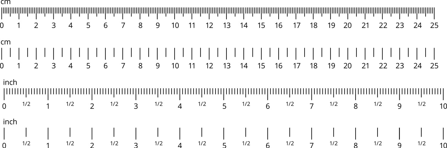Inch and metric rulers centimeters inches Vector Image