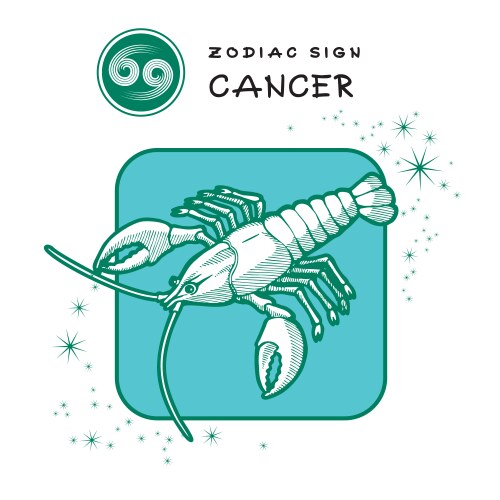 Cancer zodiac kid Royalty Free Vector Image - VectorStock