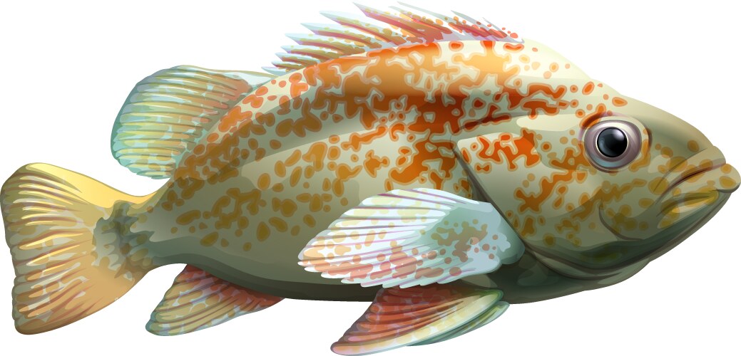 A fish Royalty Free Vector Image - VectorStock