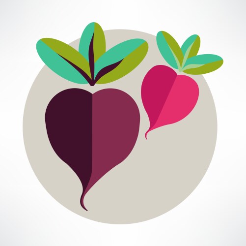 Beet Vector Images (over 16,000)