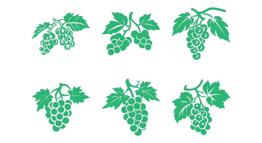 Grapevine Vector Images (over 9,000)