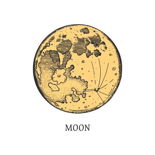 Crescent moon drawings in engraving style Vector Image