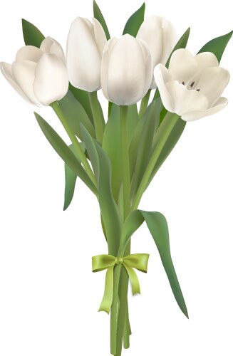 Tulips flowers in white vase Royalty Free Vector Image