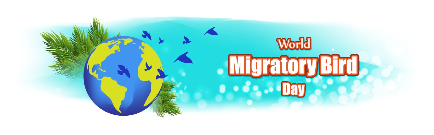 World migratory bird day 8 may Royalty Free Vector Image